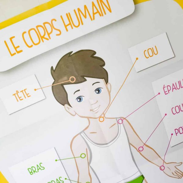 Le corps humain et le squelette en CE1 – Stylo Plume Blog